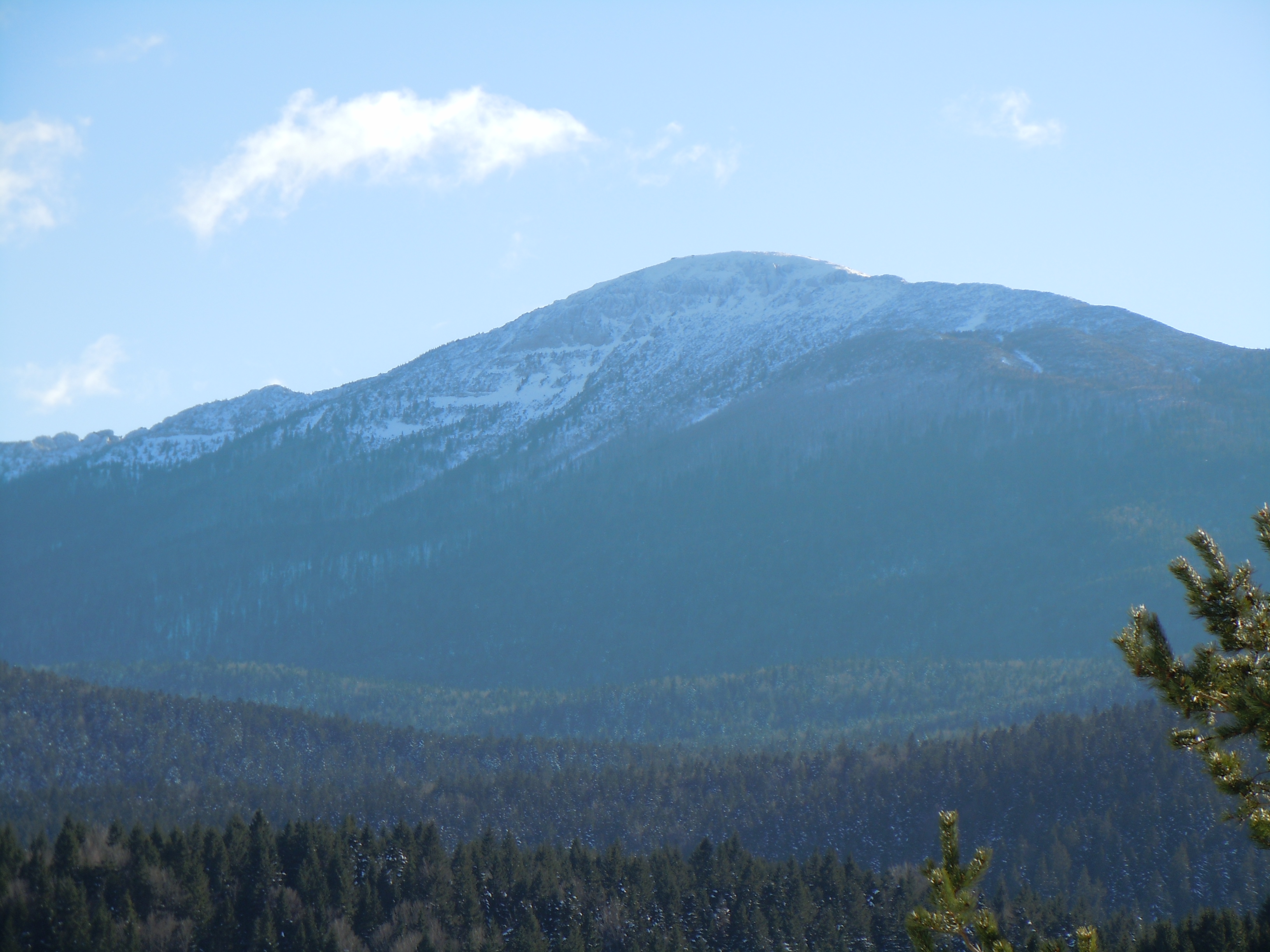 Drinić | Tourist organization Republic of Srpska