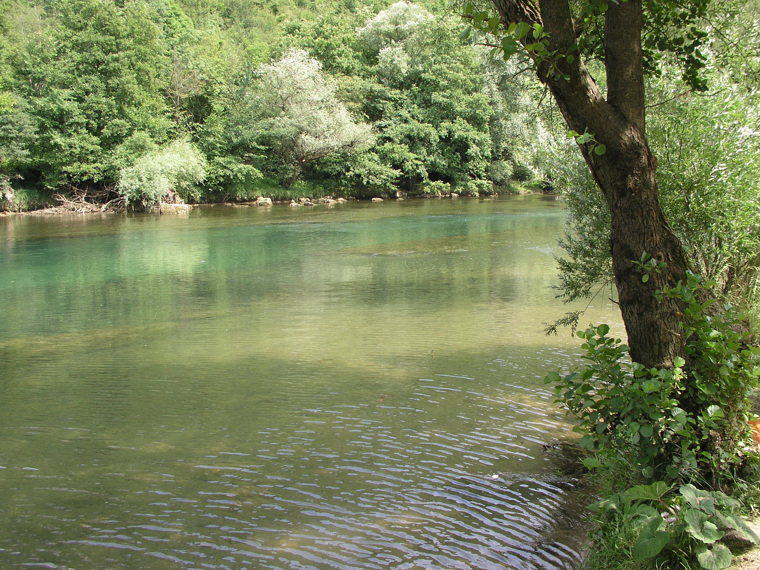 River Vrbas | Tourist organization Republic of Srpska